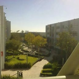 Universidad del Valle de México - Uvm Campus Zapopan - Colleges ...