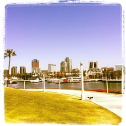 Pierpoint Landing - 126 Photos & 148 Reviews - Fishing - 200 Aquarium ...