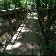 Big Trees Forest Preserve - 99 Photos & 34 Reviews - Parks - 7645 ...