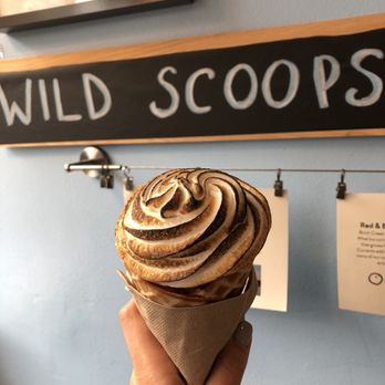 Wild Scoops - 160 Photos & 127 Reviews - Ice Cream & Frozen Yogurt ...