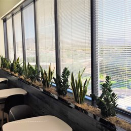 Oliver Plant Company - 2019 All You Need to Know BEFORE You Go (with ...