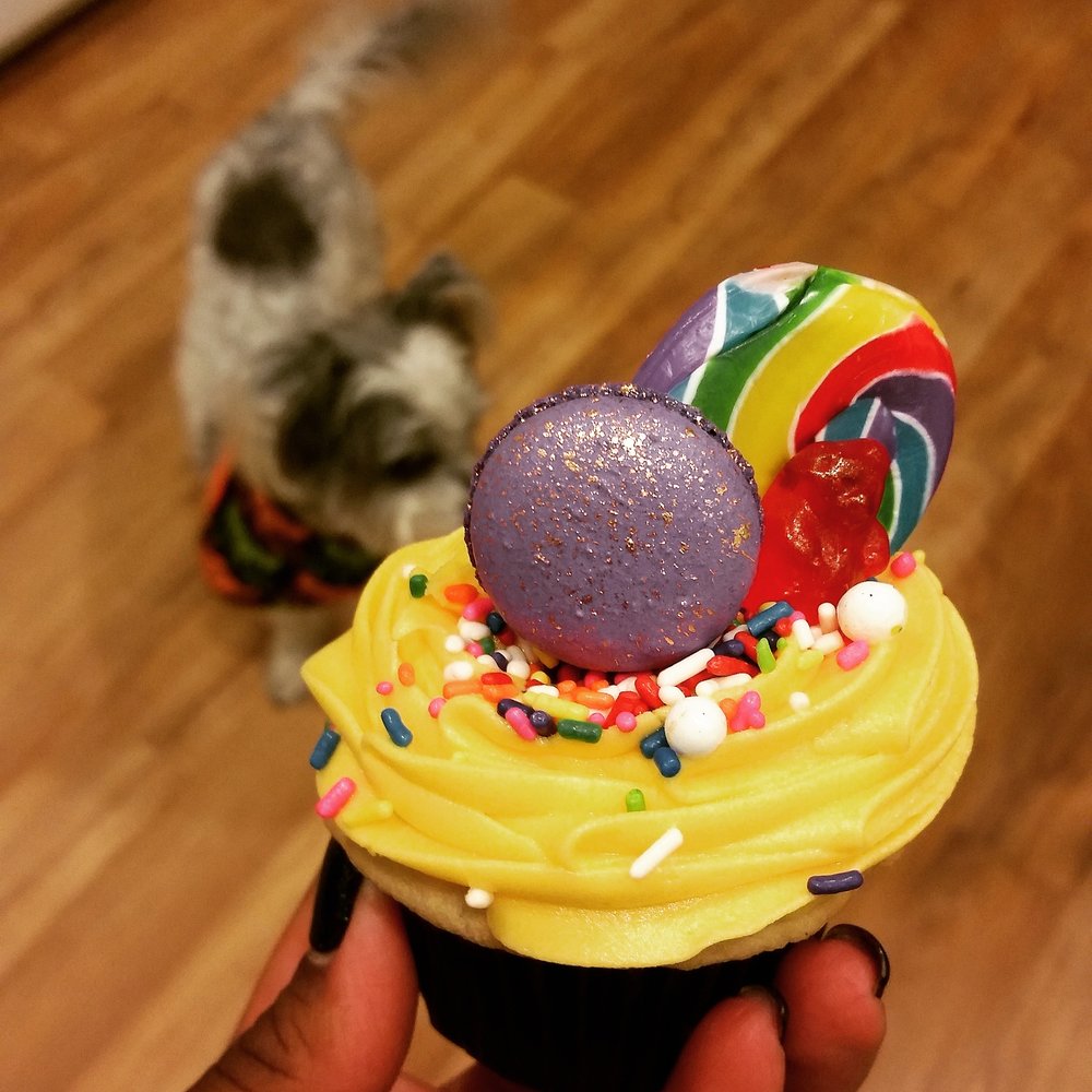 My Delight CupCakery - 1943 Photos & 1352 Reviews - Desserts - 1520 N ...