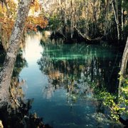 Three Sisters Springs - 69 Photos & 23 Reviews - Rafting/Kayaking - 123 ...