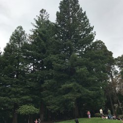 Shoup Park - 25 Photos & 44 Reviews - Parks - 400 University Ave, Los ...