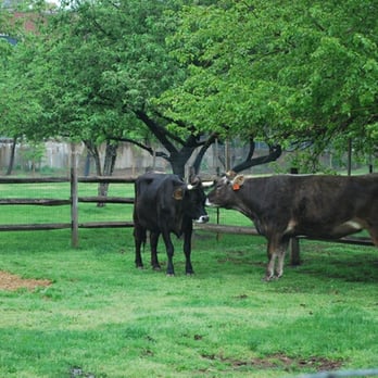 Queens County Farm Museum - 377 Photos & 132 Reviews - Museums - 73-50 ...