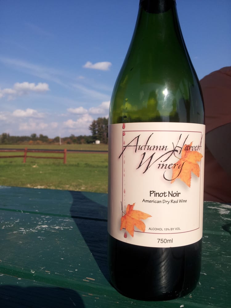 Autumn Harvest Winery - Wineries - 19947 County Hwy J, Chippewa Falls ...
