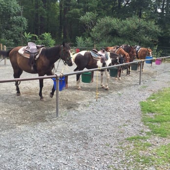 Mountain Creek Riding Stables - 42 Photos & 42 Reviews - Horseback ...