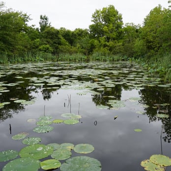 Sheldon Lake State Park and Environmental Learning Center - 168 Photos ...