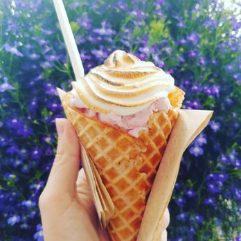 Wild Scoops - 173 Photos & 144 Reviews - Ice Cream & Frozen Yogurt ...