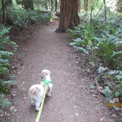 Edith Moulton Park - 30 Photos - Parks - 108TH Ave NE, Kirkland, WA - Yelp