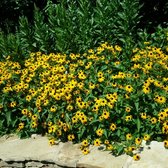 Grapevine Botanical Gardens - 146 Photos & 38 Reviews - Botanical ...