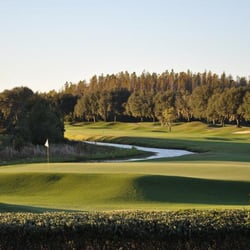 TPC Tampa Bay - 2019 All You Need to Know BEFORE You Go (with Photos ...