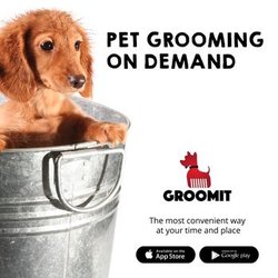 Groomit - 88 Photos & 44 Reviews - Pet Groomers - Upper West Side, New ...