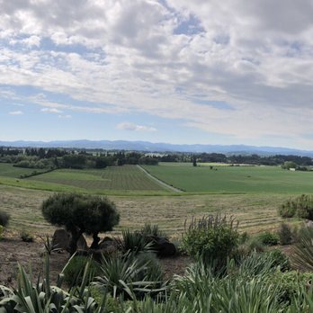 Anne Amie Vineyards - 126 Photos & 78 Reviews - Wineries - 6580 NE ...