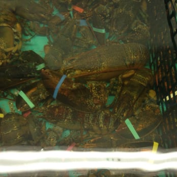 Stuart’s Seafood Market - 37 Photos & 46 Reviews - Seafood - 41 Oak Ln ...