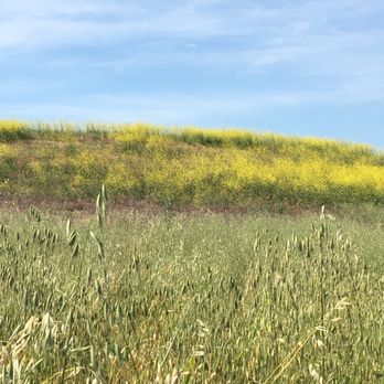 Quail Hill Trailhead - 258 Photos & 93 Reviews - Hiking - 34 Shady ...