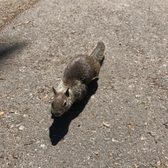 Lovers Point Park - 1033 Photos & 218 Reviews - Parks - 17th St & Ocean ...