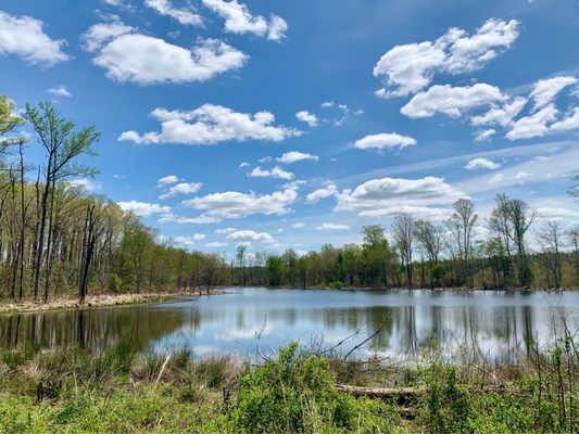 Partlow, VA Map & Directions - MapQuest