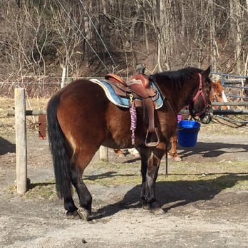 Mountain Creek Riding Stables - 42 Photos & 42 Reviews - Horseback ...