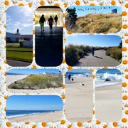 Smith Point Beach - 172 Photos & 53 Reviews - Beaches - William Floyd ...