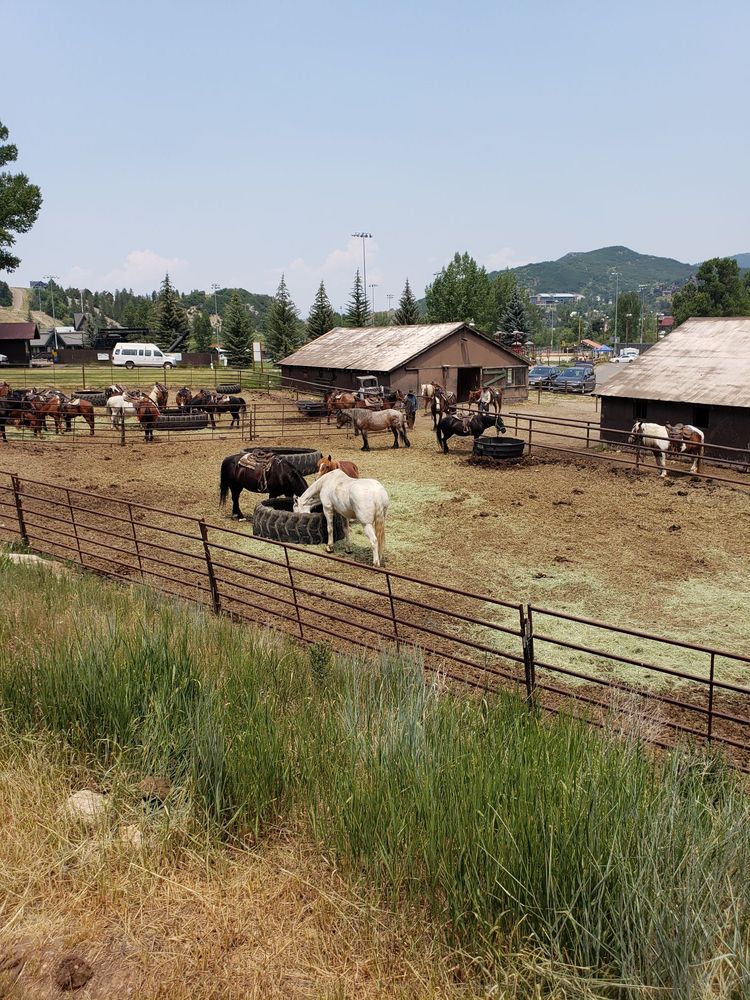 Sombrero Ranches - 16 Photos - Horseback Riding - 835 River Rd ...