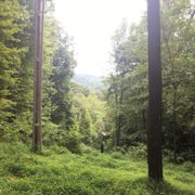 Roseland Resort and Campground - 14 Photos - Adult Entertainment - 925 ...