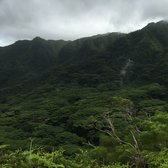 Pu’u Pia Trail - 152 Photos & 37 Reviews - Hiking - 3662 Alani Dr ...