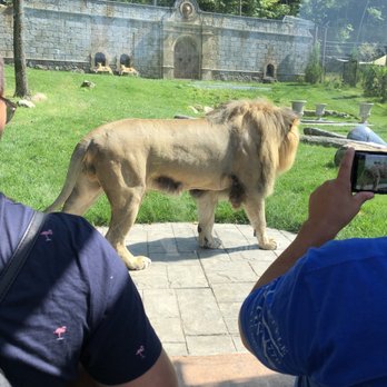 Essex County Turtle Back Zoo - 958 Photos & 292 Reviews - Zoos - 560 ...