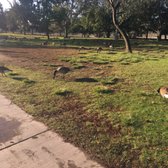 Earvin Magic Johnson Park - 27 Photos & 12 Reviews - Recreation Centers ...