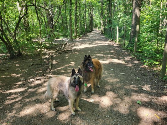 Sharon Center, OH Map & Directions - MapQuest