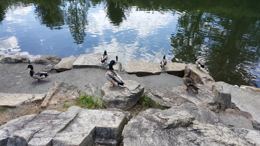 Hedden County Park - 15 Photos - Parks - Off Hurd Rd, Dover, NJ - Yelp