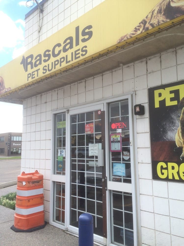 Rascals Pet Supplies & Grooming Ltd - 25 Photos - Pet Stores - 3804 ...