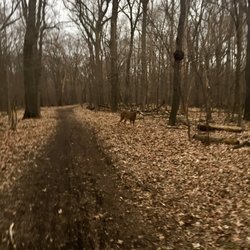 Forest Preserve District of Cook County, Illinois - 10 Reviews - Active ...