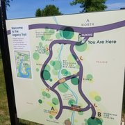 Chester Woods Park - 11 Photos - Parks - 8378 14th Hwy SE, Eyota, MN ...