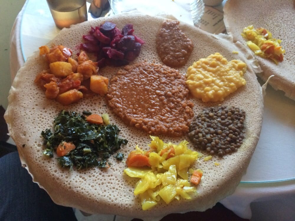Abyssinian Ethiopian – Hella Hartford