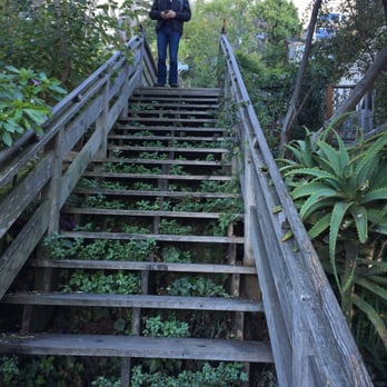 Filbert Steps - 279 Photos & 216 Reviews - Local Flavor - Filbert St ...