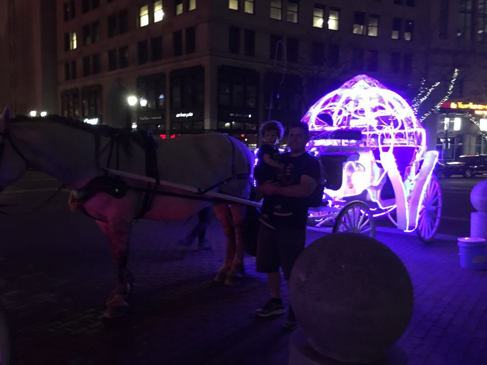 Blue Ribbon Carriages - 11 Photos - Tours - 1 Monument Cir, Mile Square ...