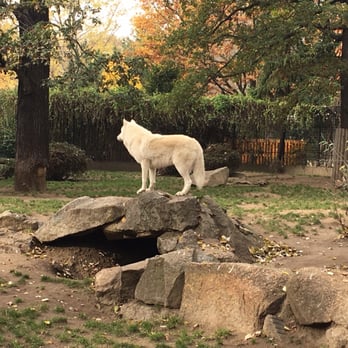 Zoo Berlin - 1404 Photos & 236 Reviews - Zoos - Hardenbergplatz 8 ...