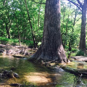 Cypress Creek Cottages - 72 Photos & 43 Reviews - Guest Houses - 104 ...