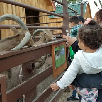 White Post Farms - 268 Photos & 141 Reviews - Zoos - 250 Old Country Rd ...