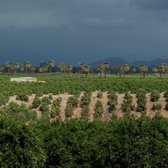 California Citrus State Historic Park - 174 Photos & 58 Reviews - Parks ...