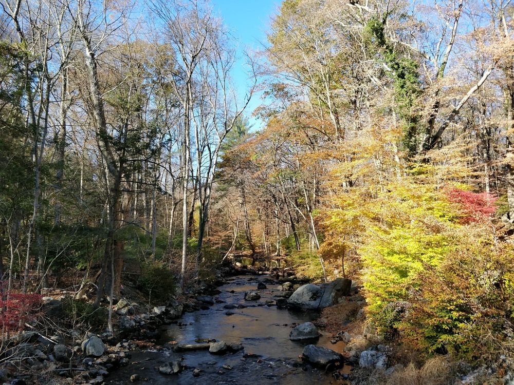 Mianus River Park - 36 Photos - Hiking - Merriebrook Ln, Stamford, CT ...