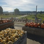 Schilter Family Farm - 28 Photos & 37 Reviews - Local Services - 141 ...