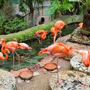 The Dallas World Aquarium - 1636 Photos & 779 Reviews - Aquariums ...