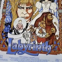 Guild Cinema - 21 Photos & 21 Reviews - Movie Theater - Nob Hill ...