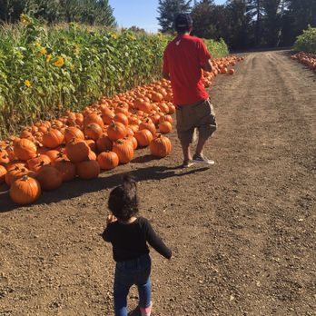 Smith Family Farms - 275 Photos & 180 Reviews - Pumpkin Patches - 4350 ...