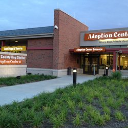 Franklin County Dog Shelter - 16 Photos & 28 Reviews - Animal Shelters ...