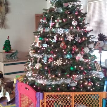 Crazy Rudolph’s Christmas Trees - 51 Photos & 48 Reviews - Christmas ...