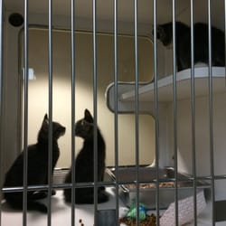 Connecticut Humane Society - 23 Photos & 27 Reviews - Animal Shelters ...