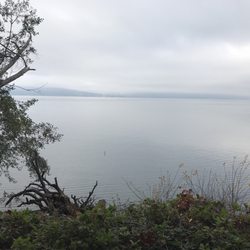 Scenic Beach State Park - 44 Photos & 15 Reviews - Parks - 9565 Scenic ...